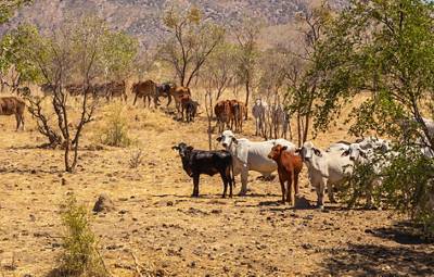Solar pump remote monitoring; a smart work tool on a remote outback ...