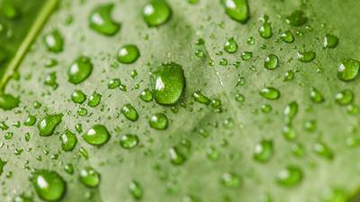 A green new normal | Grundfos