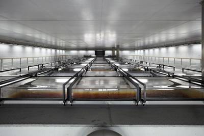 Drinking water treatment | Grundfos