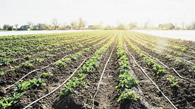 Drip, Micro Spray & Soaker Hose Irrigation | Grundfos