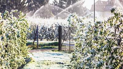Frost protection | Grundfos