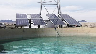 Livestock watering with solar solutions | Grundfos