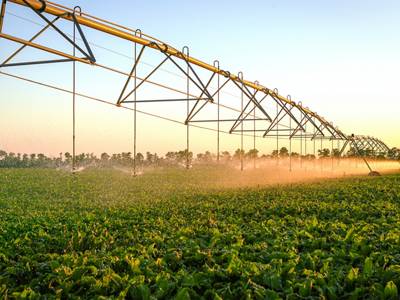 Rotor & spray irrigation | Grundfos