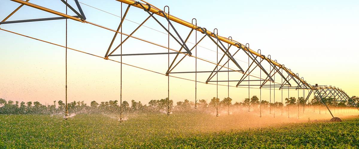 Rotor & spray irrigation | Grundfos