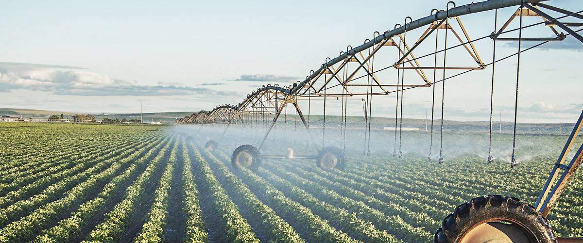 Pivot & Lateral Irrigation | Grundfos