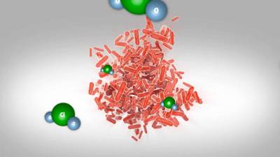 Water Disinfection Methods | Grundfos