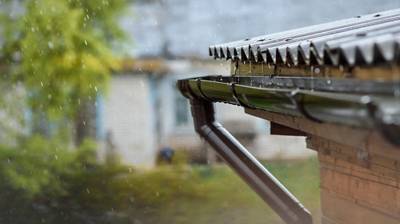 Regenwasser nutzen | Grundfos