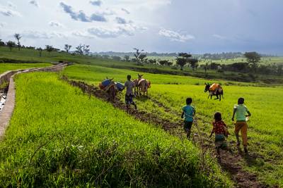 The beginning of sustainable development for Ethiopian farmers | Grundfos