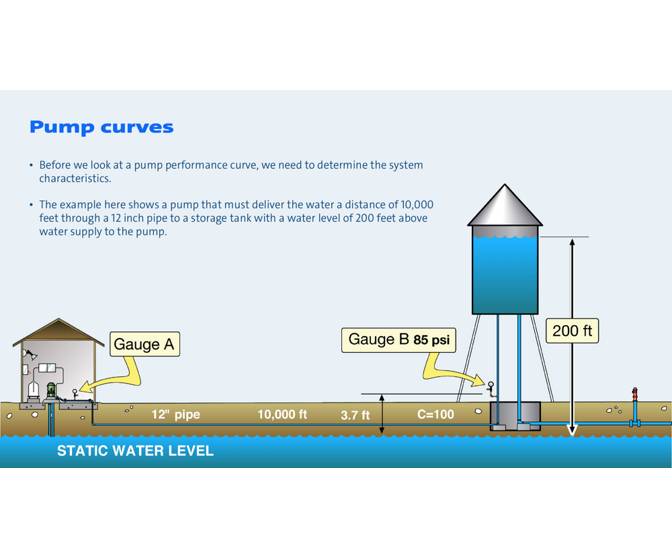 Pump curves | Grundfos